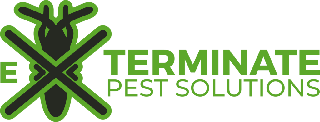 Exterminate Pest Solutions: Top Pest & Termite Control Gold Coast